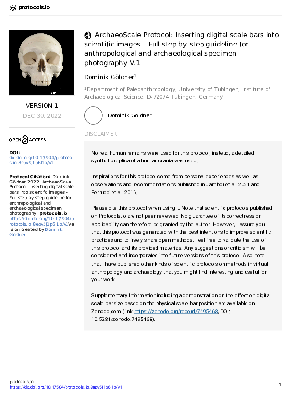 (PDF) ArchaeoScale Protocol: Inserting digital scale bars into ...