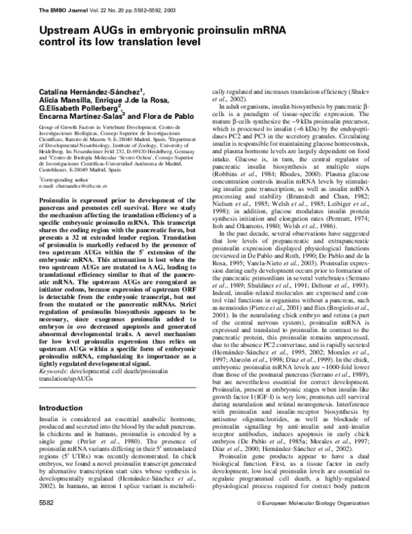 (PDF) Upstream AUGs in embryonic proinsulin mRNA control its low ...