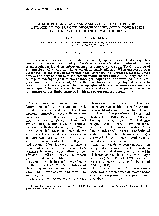 (PDF) A morphological assessment of macrophages attaching to ...
