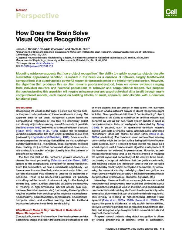 (PDF) How Does the Brain Solve Visual Object Recognition?