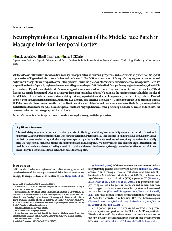 (PDF) Neurophysiological Organization of the Middle Face Patch in Macaque Inferior Temporal ...