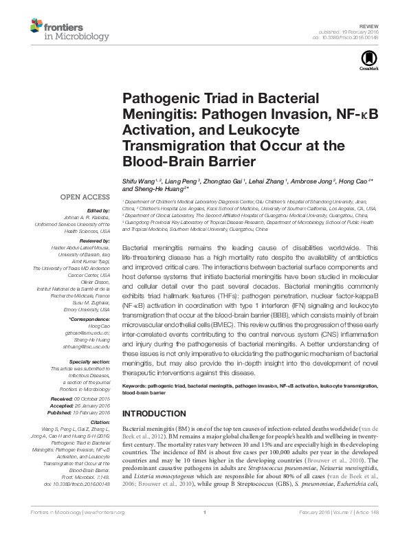(PDF) Pathogenic Triad in Bacterial Meningitis: Pathogen Invasion, NF ...