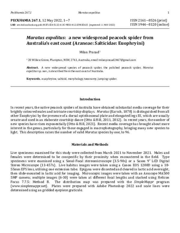 (PDF) Maratus expolitus: a new widespread peacock spider from Australia ...