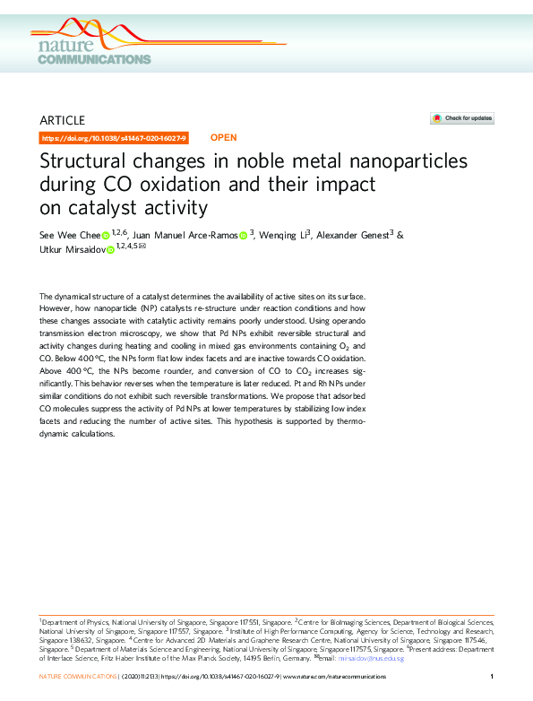 (PDF) Structural changes in noble metal nanoparticles during CO oxidation and their impact on ...