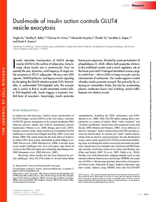 (PDF) Dual-mode of insulin action controls GLUT4 vesicle exocytosis