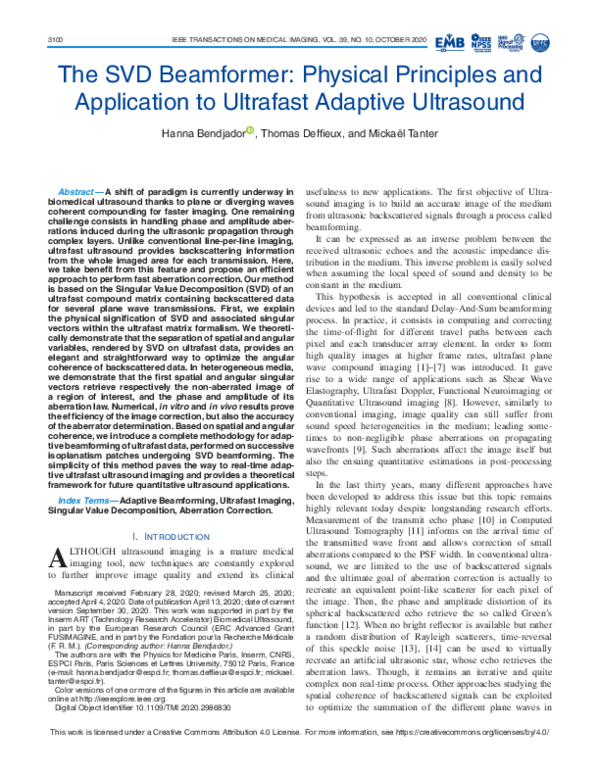 (PDF) The SVD Beamformer: Physical Principles and Application to ...