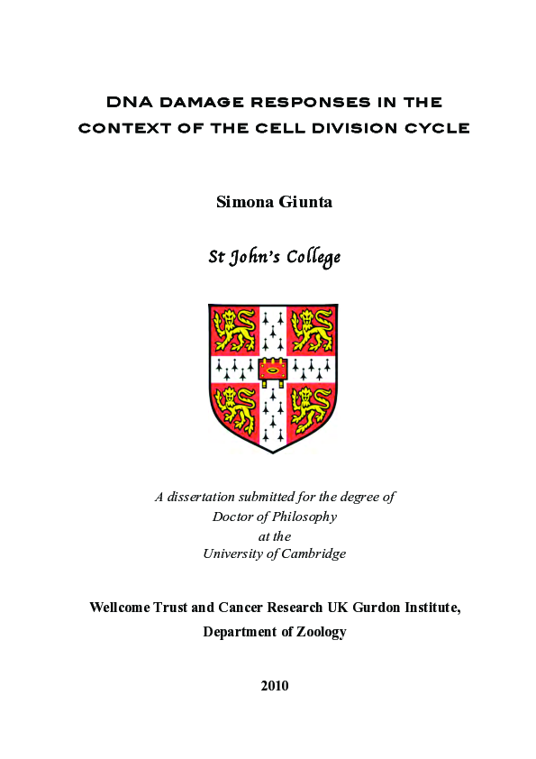 (PDF) DNA damage responses in the context of the cell division cycle