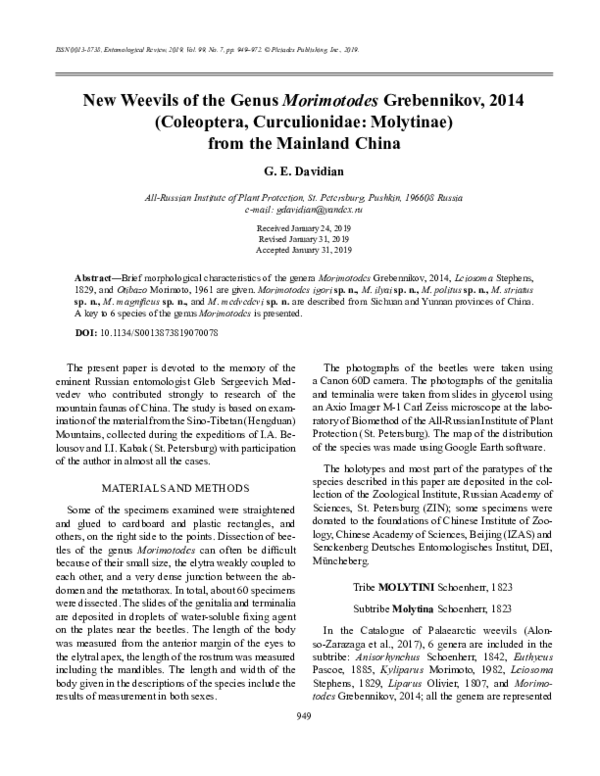 (PDF) New Weevils of the Genus Morimotodes Grebennikov, 2014 ...