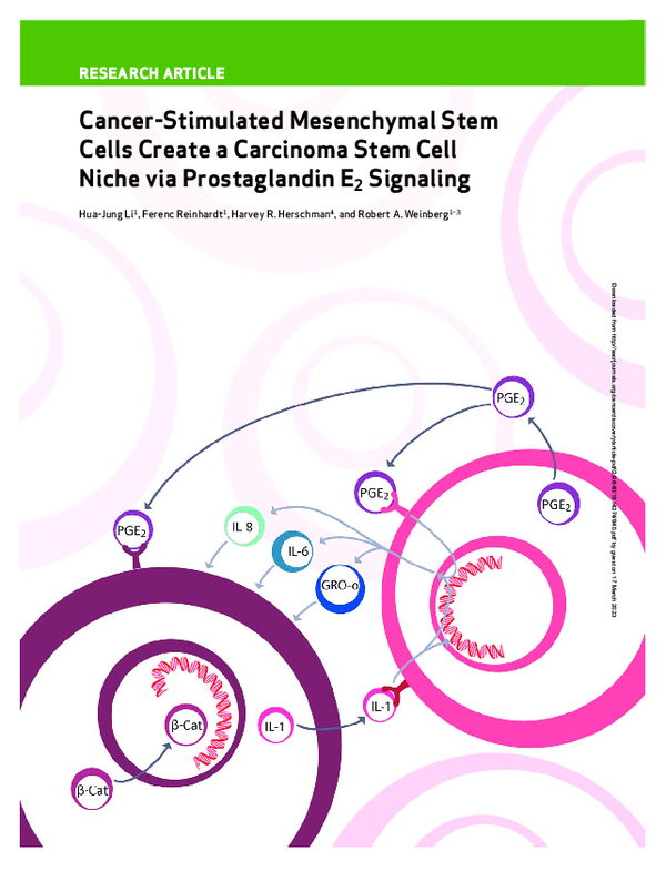 (PDF) Cancer-stimulated mesenchymal stem cells create a carcinoma stem ...