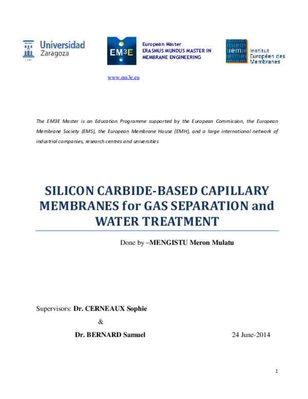 (PDF) Silicon carbide-based capillary membranes for gas separation and water treatment