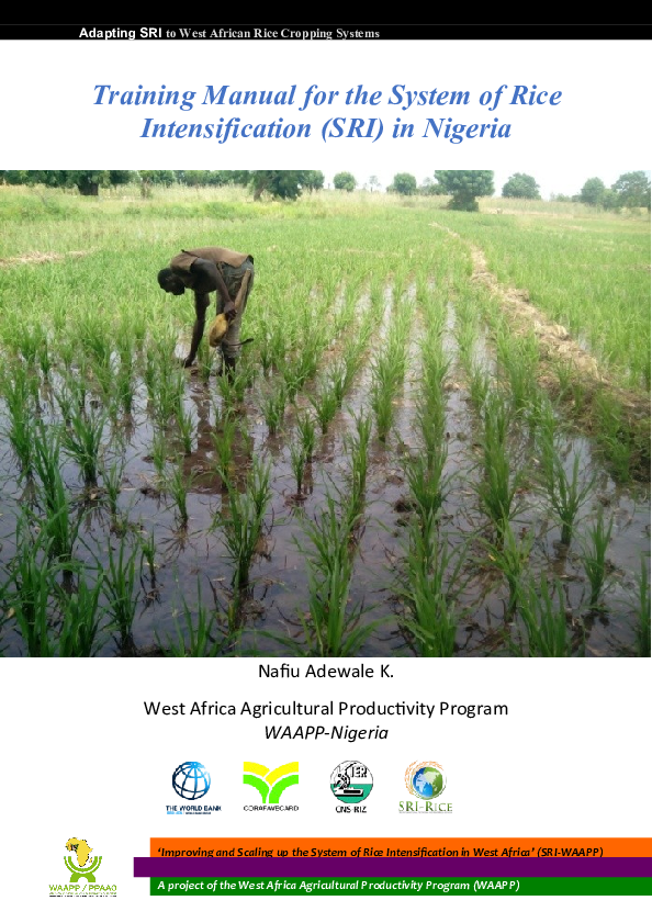 Doc System Of Rice Intensification Sri Technical Manual Nigeria