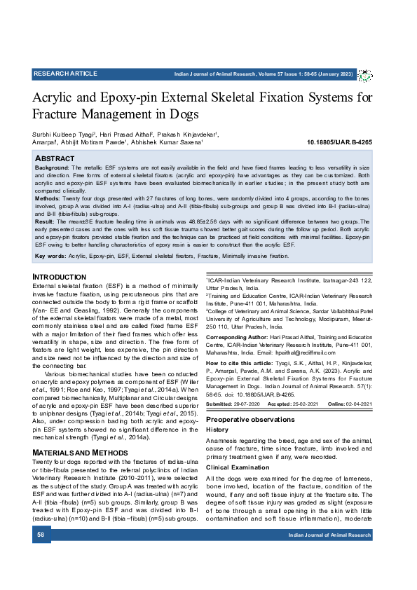 (PDF) Acrylic and Epoxy-pin External Skeletal Fixation Systems for ...