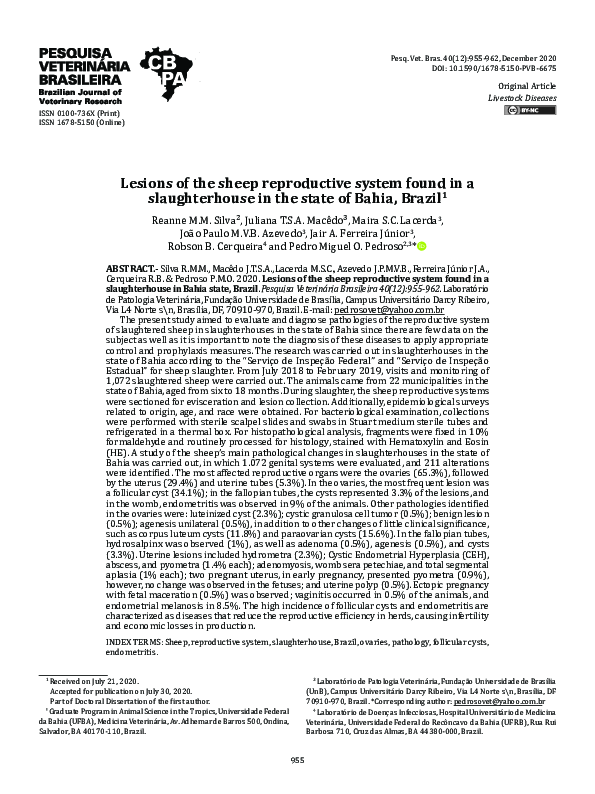 (PDF) Lesions of the sheep reproductive system found in a ...