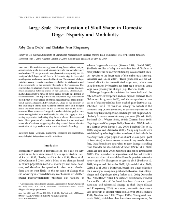 (PDF) Large‐Scale Diversification of Skull Shape in Domestic Dogs ...