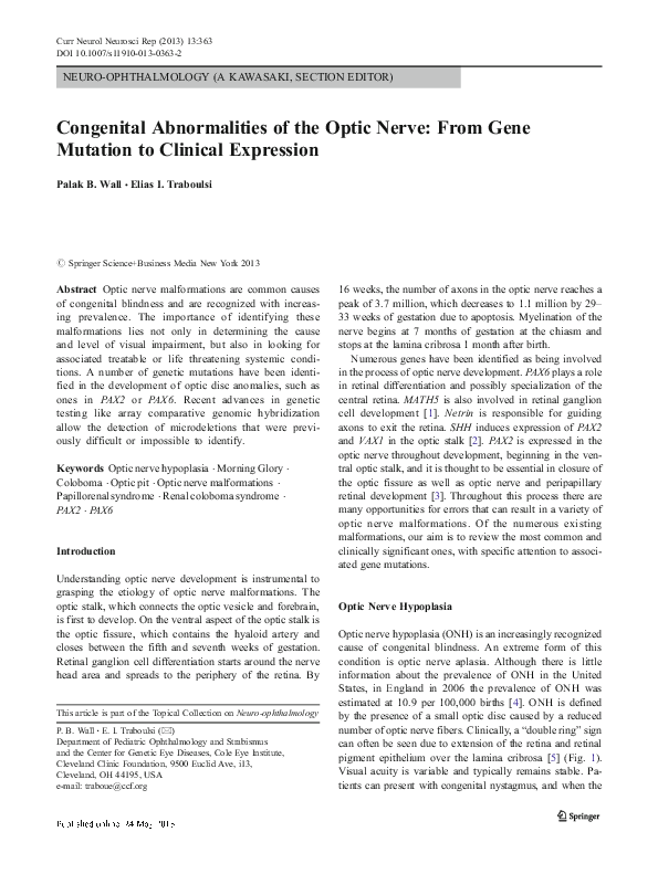 (PDF) Congenital Abnormalities of the Optic Nerve: From Gene Mutation ...