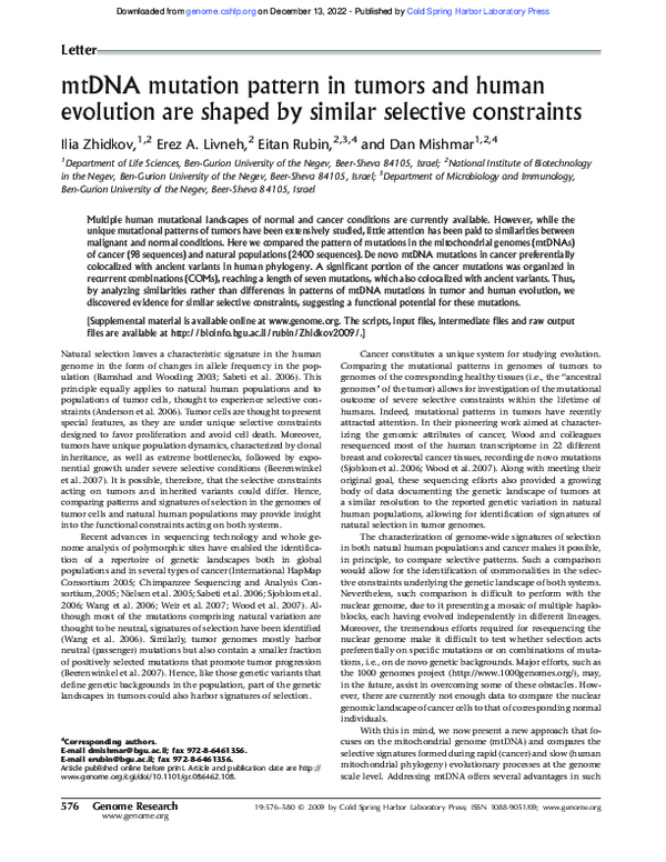 Pdf Mtdna Mutation Pattern In Tumors And Human Evolution Are Shaped