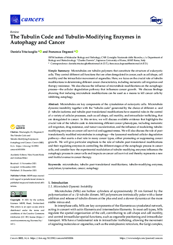 (PDF) The Tubulin Code and Tubulin-Modifying Enzymes in Autophagy and ...