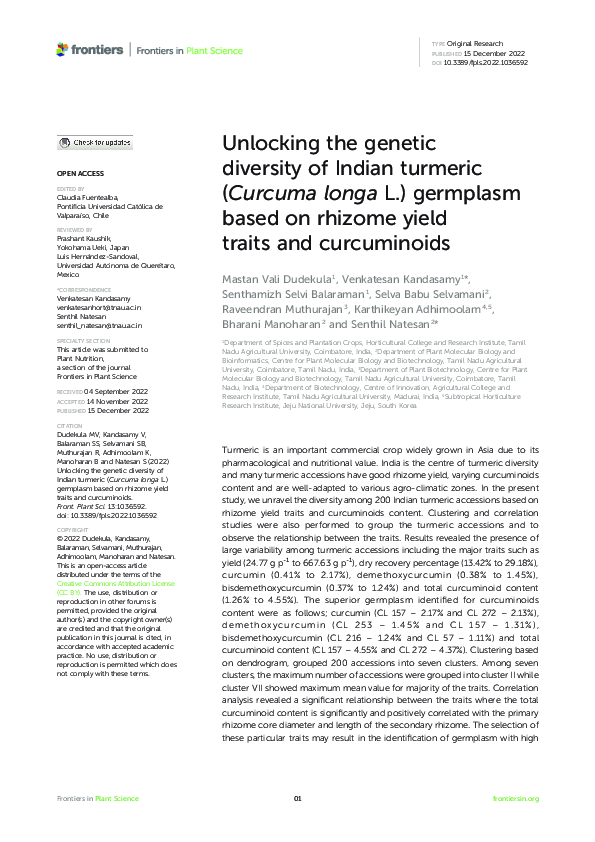 (PDF) Unlocking the genetic diversity of Indian turmeric (Curcuma longa ...