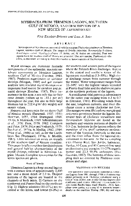 (PDF) Mysidacea from Terminos Lagoon, Southern Gulf of Mexico, and ...