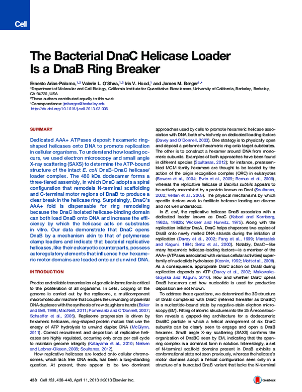 (PDF) The Bacterial DnaC Helicase Loader Is a DnaB Ring Breaker | Iris ...