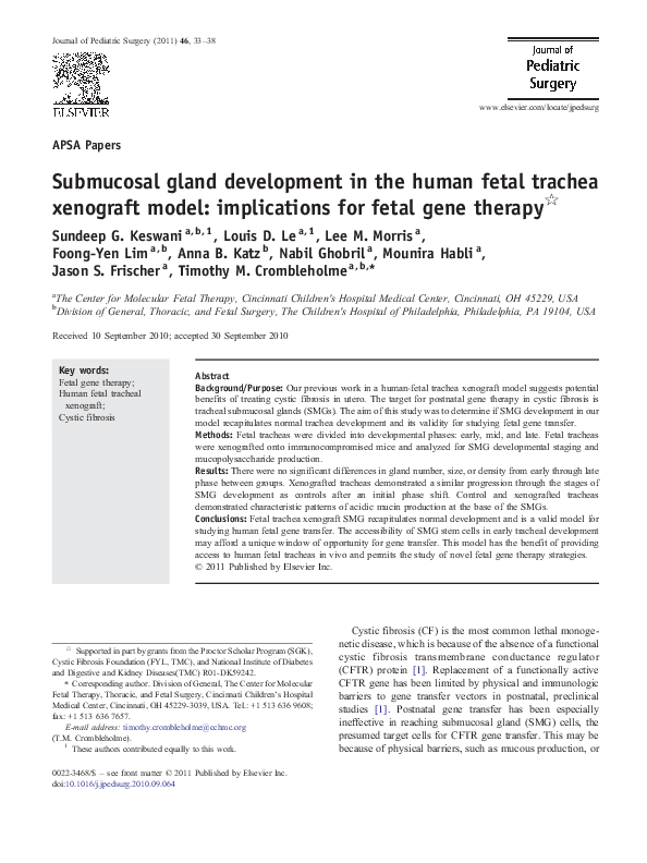 (PDF) Submucosal gland development in the human fetal trachea xenograft ...